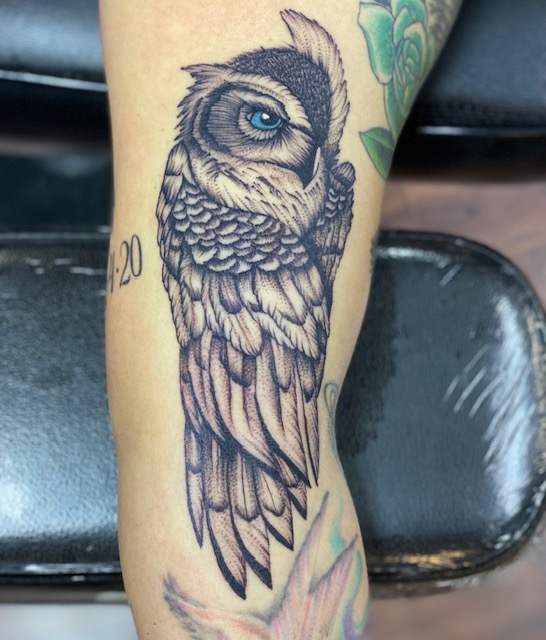 Evolution Tattoo | Tattoo Shop in Reno | Reno Tattoo Studio | Artist ...