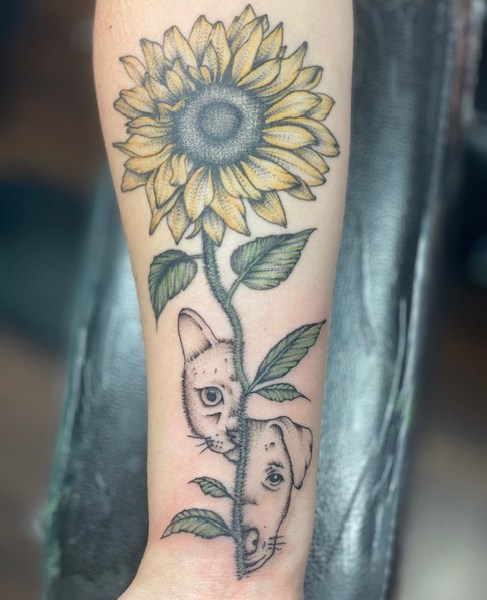 Evolution Tattoo | Tattoo Shop in Reno | Reno Tattoo Studio | Artist ...